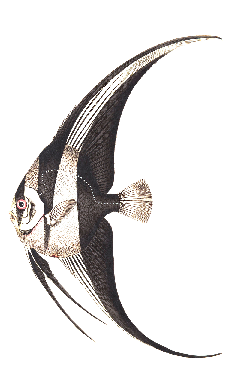 ”Svenskt lejon Symbol för styrka och stolthet”